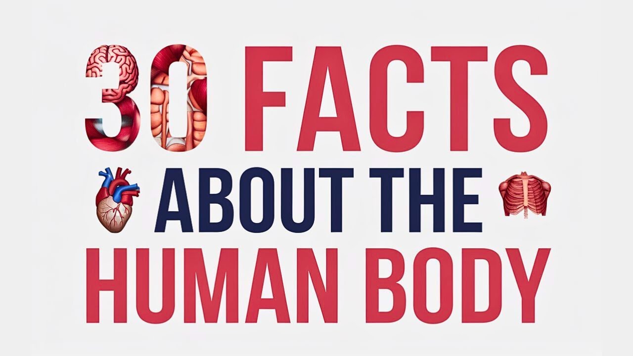 30 MIND-BLOWING Human Body Facts You NEVER Knew - YouTube