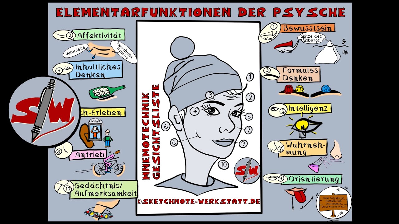 Sketchnote Elementarfunktionen der Psyche - NEU - YouTube