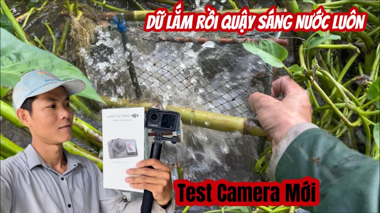 Trở Lại Rừng Tràm Thăm Lờ Cá Test Quay Camera Mới Không Ngờ Dính Luôn ...