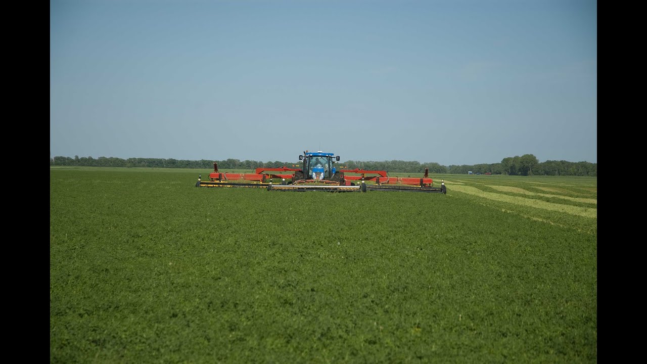 PhiBer Triple Cutter Tool Bar - YouTube