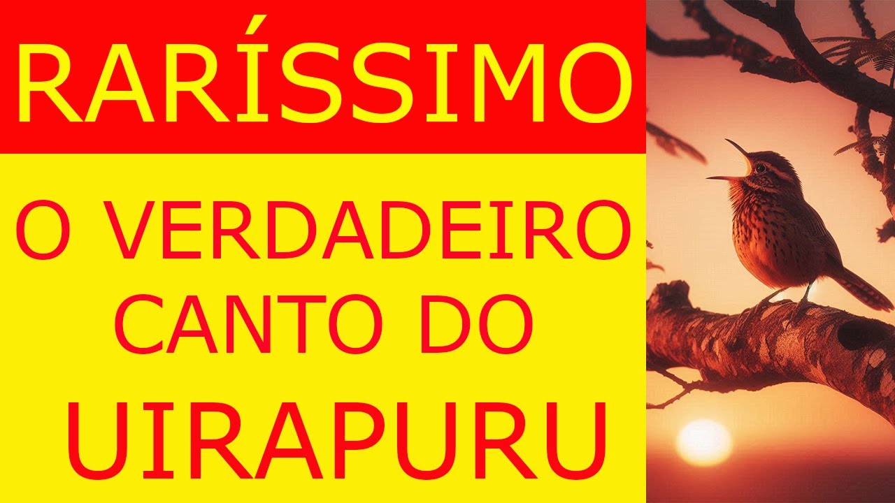 CANTO do UIRAPURU - YouTube