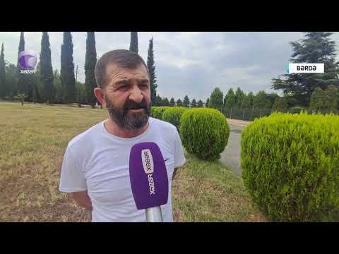Bölgələrdə mövsümi işlərdə işçi çatışmazlığı var