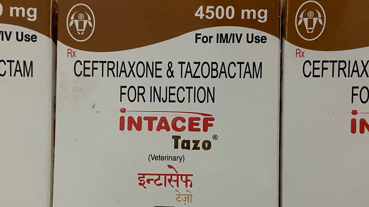 Injection Intacef Tazo use , side effect, Dose - YouTube