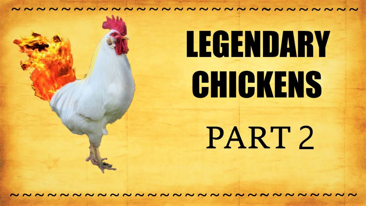 Top 7 Legendary Chickens - Different Mythologies and Cultures - Part 2 ...