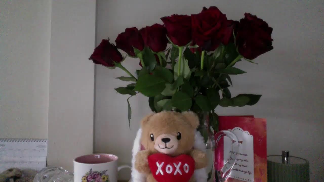 Goodnight Stream. #goodnight - YouTube