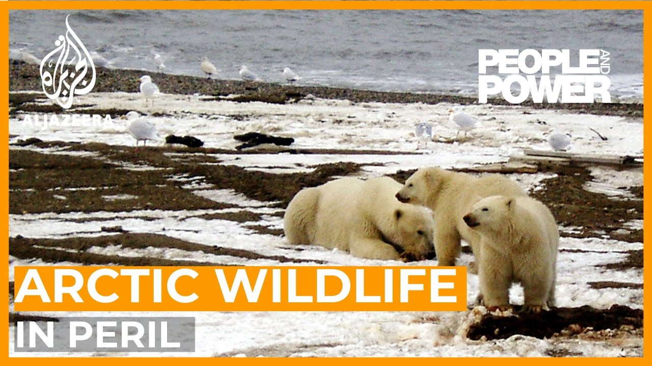 Alaska: At the Edge of the Earth | People and Power - YouTube