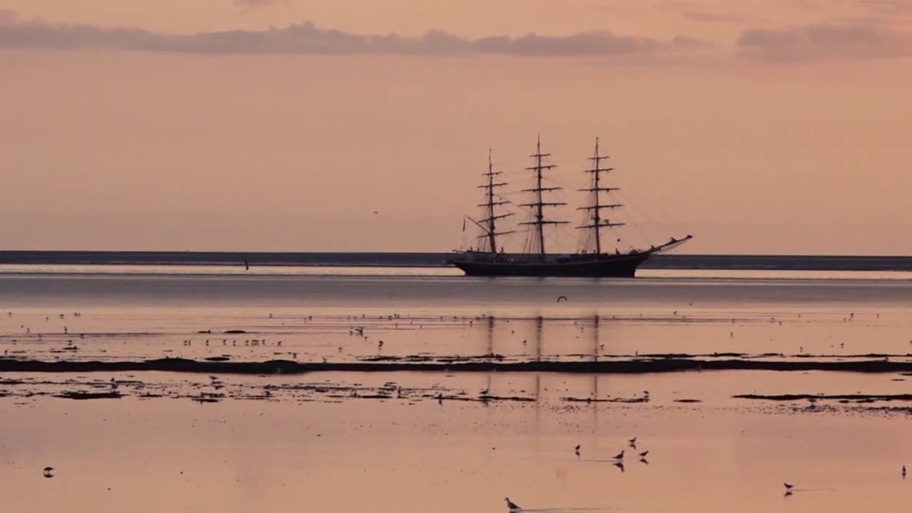 Tall ship and sea birds - YouTube