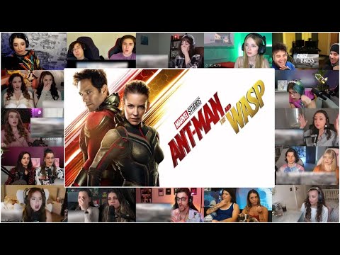 [FULL] Ant-Man and the Wasp Reaction Mashup