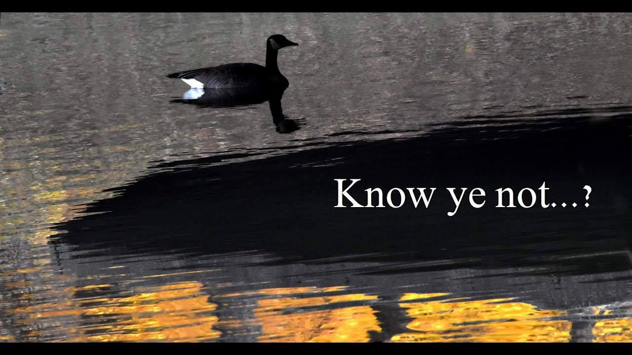 "Know ye not...?" - YouTube