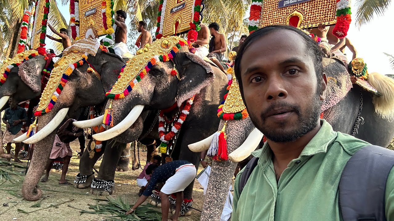 Tallest Kalidasan Elephant - YouTube