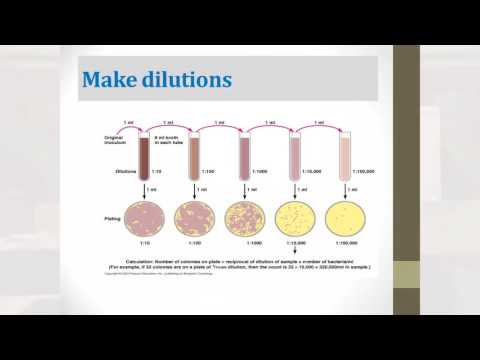 Microbiological water testing - YouTube