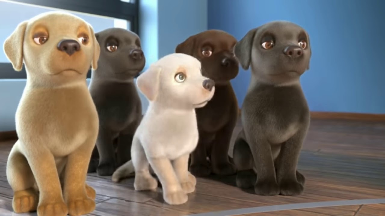 Pip-dog story short animated film - YouTube