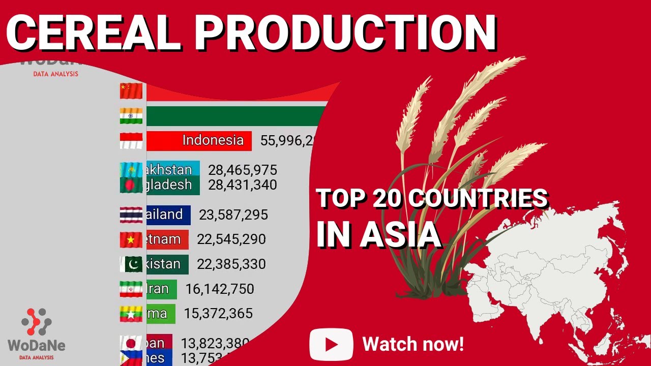 TOP 20 countries in Asia by Cereal production - YouTube