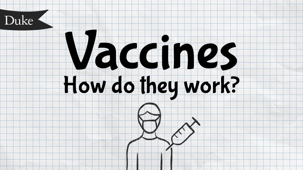 How Do Vaccines Work? | Quick Learner - YouTube