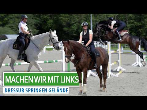 Grand-Prix-Pferd mit Halsring reiten?! 😳 Einhändig reiten und springen | Pferde ausbilden