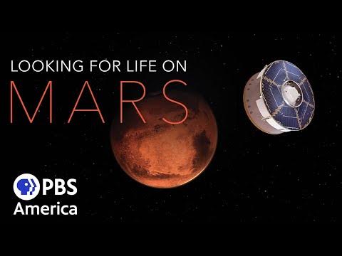 Looking For Life on Mars FULL SPECIAL | NOVA | PBS America - YouTube