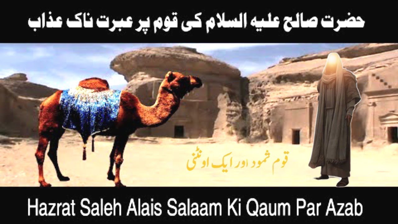 History of qoom e samood |Qaum e Samood ka waqia|Qasas Ul Anbiya ...