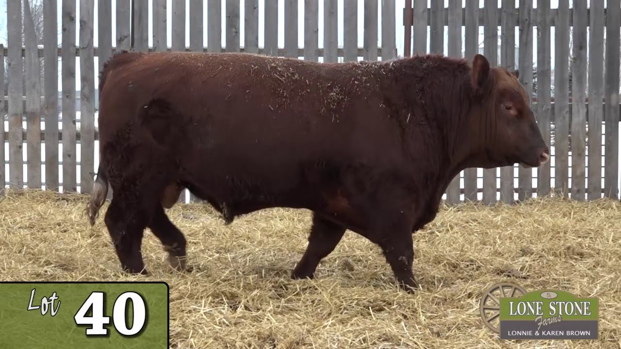 Lot 40 -Lone Stone 2020.mp4 - YouTube