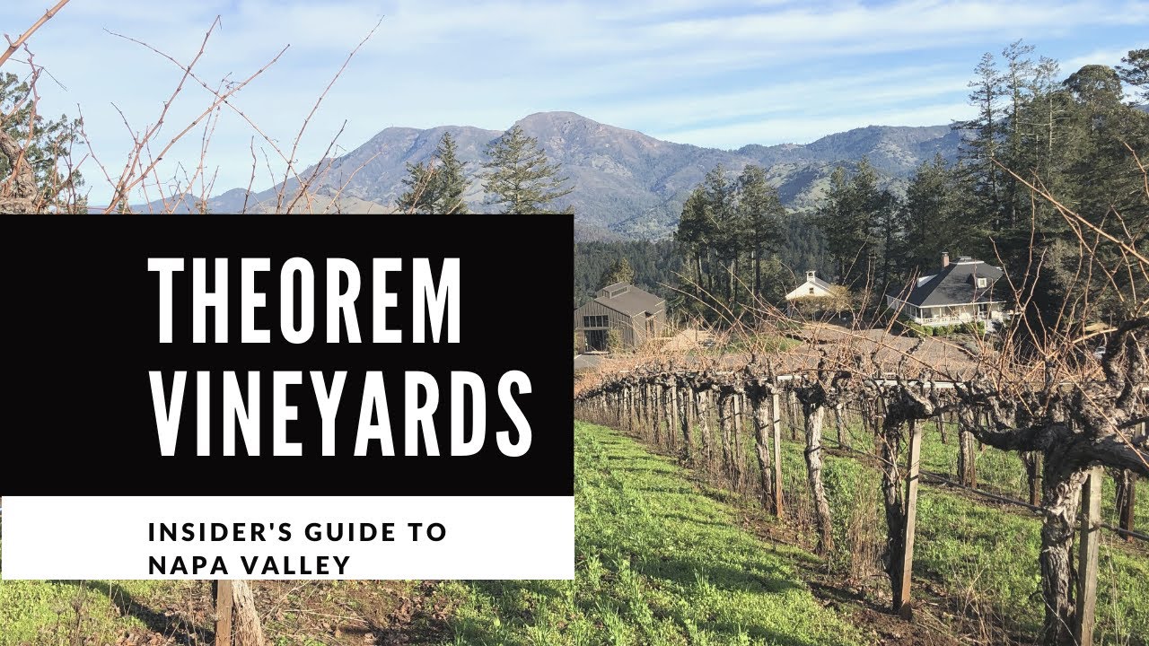 Insider's Guide to Theorem Vineyards Napa Valley - YouTube