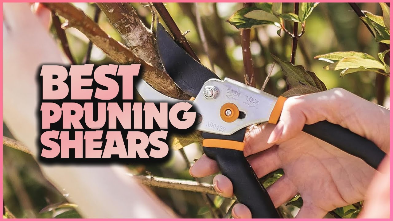 Trimming Triumph: Top 5 Pruning Shears for Precision Gardening! - YouTube