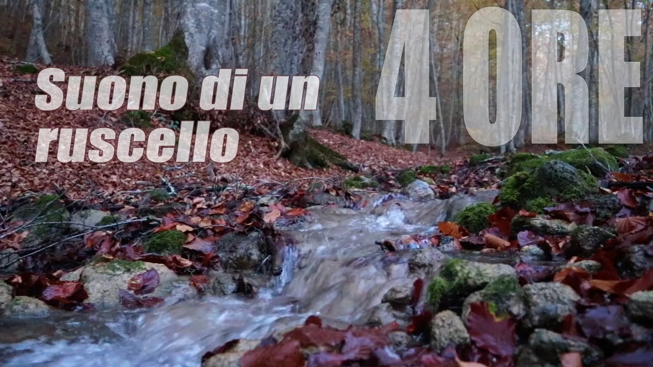 Suono di un RUSCELLO Foliage - 4 ORE - YouTube