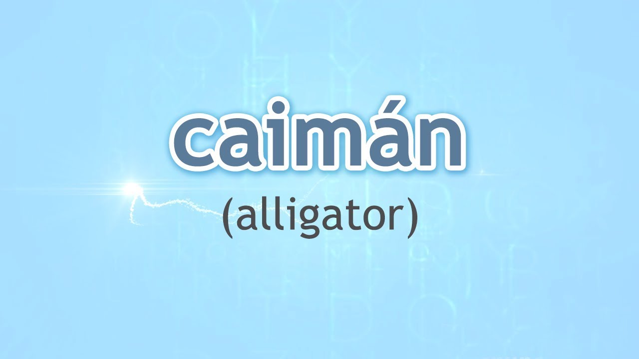 How to Pronounce Alligator (Caimán) in Spanish - YouTube