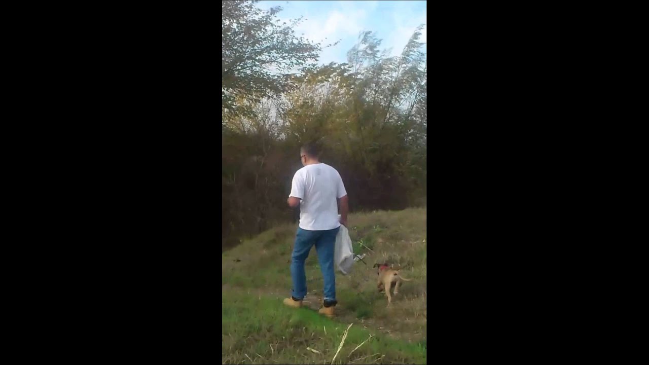 Stopping a man from throwing a cat in the channel - YouTube