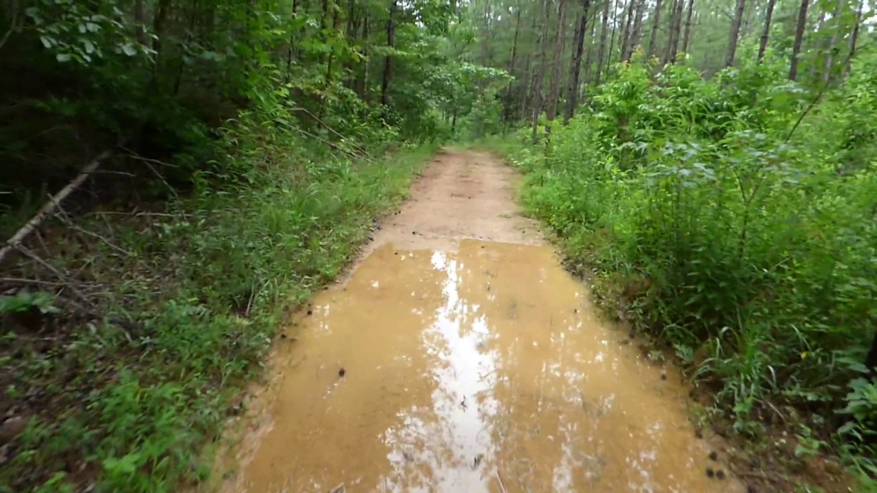 Alabama Bigfoot WHEW that was close! - YouTube