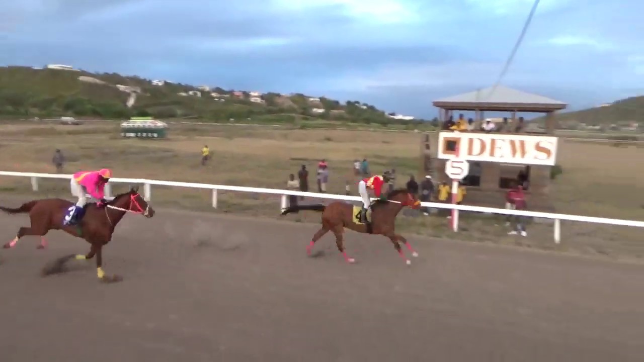 ATC Triple Crown 2019 Day 2 Race 6 7F - YouTube