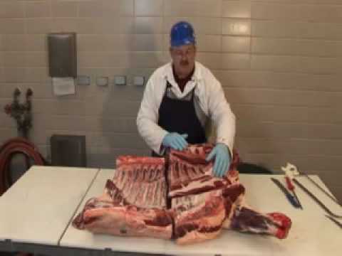 Beef Carcass Fabrication: Forequarter - YouTube