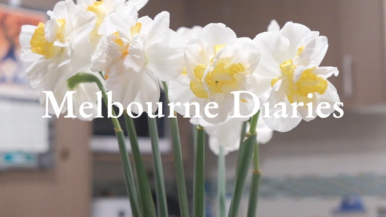 Melbourne diaries | First video, my time - YouTube