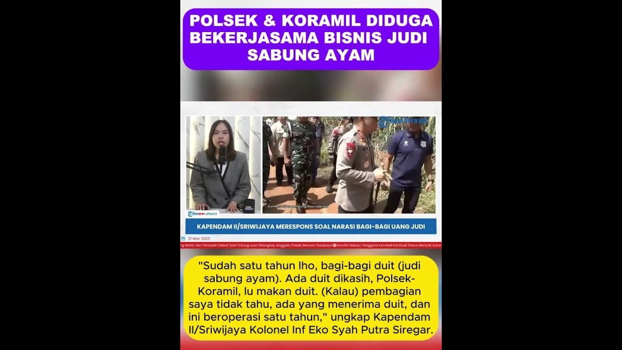 Kapendam II/Sriwijaya Sebut Polsek dan Koramil Saling Berbagi Duit Judi Sabung Ayam - YouTube