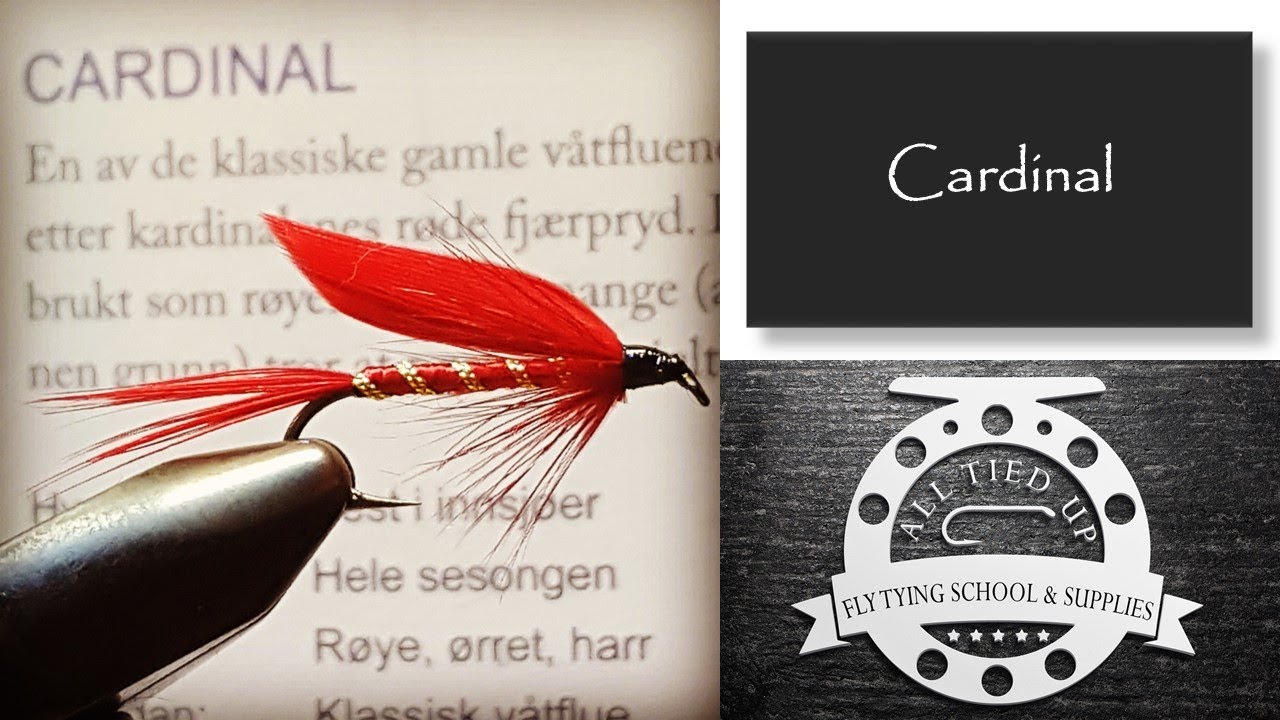 Cardinal Step by Step - YouTube