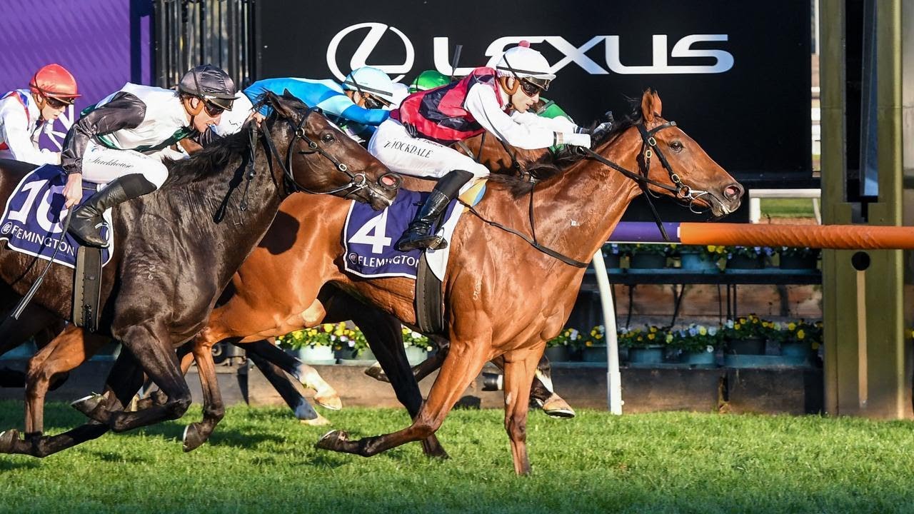 Flemington Horse Racing Tips! (17/6/23) - YouTube