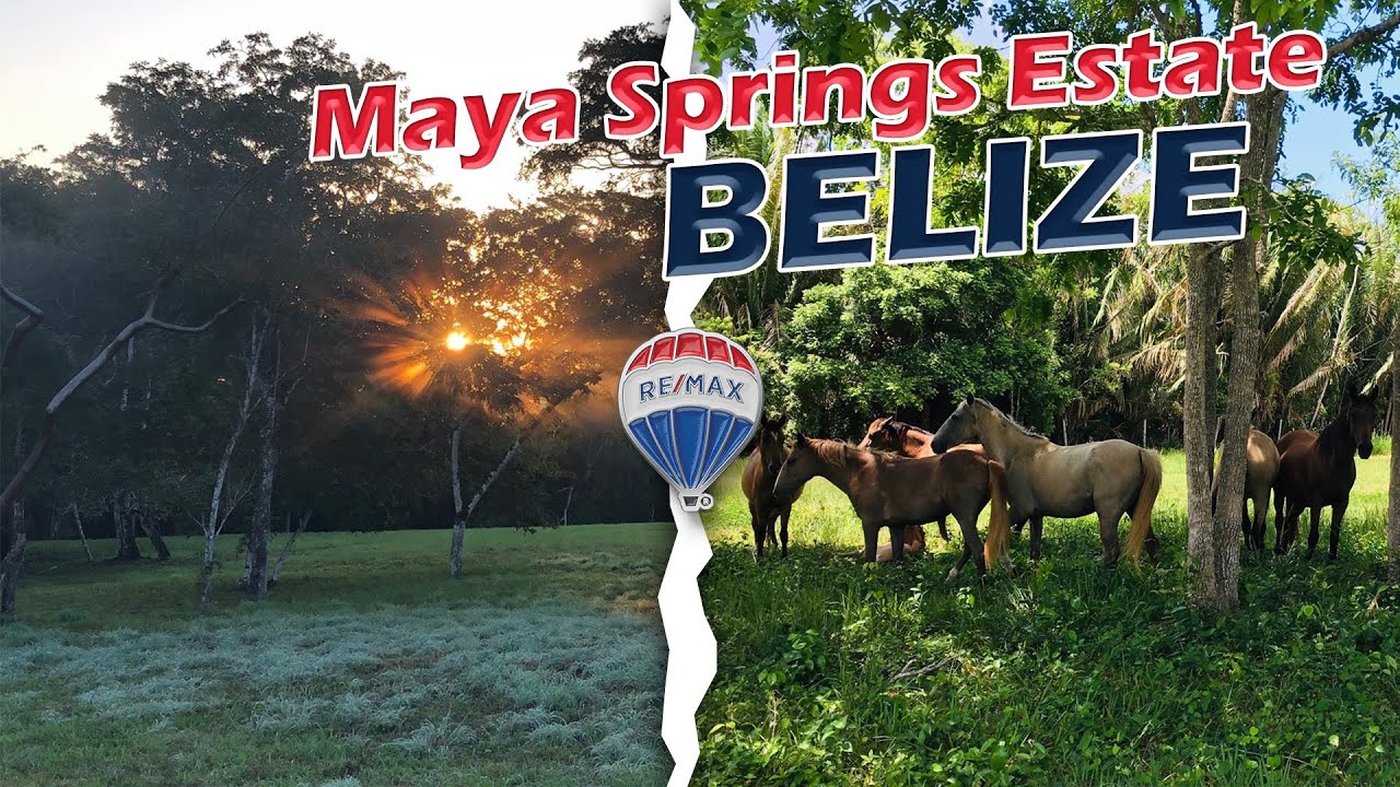 The ultimate country side living experience in Belize! - YouTube
