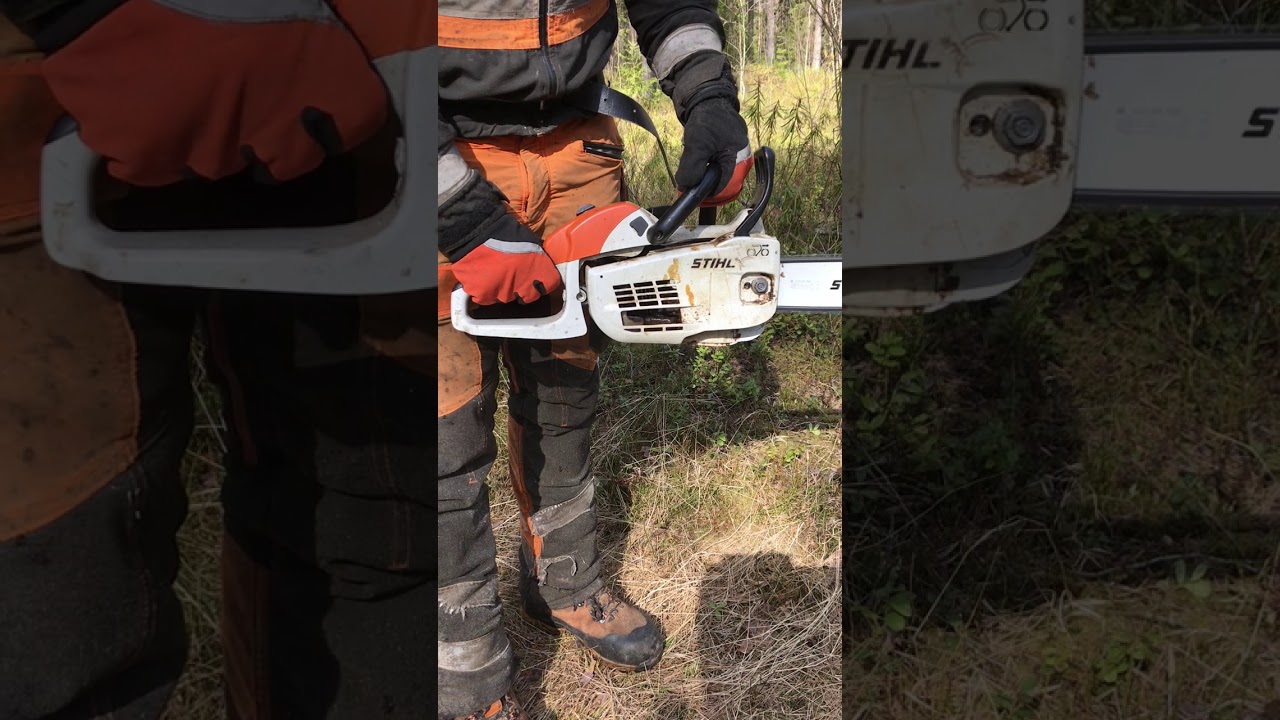 Stihl ms201 - YouTube