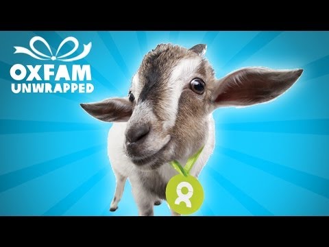 Oxfam Animals Unwrapped - YouTube