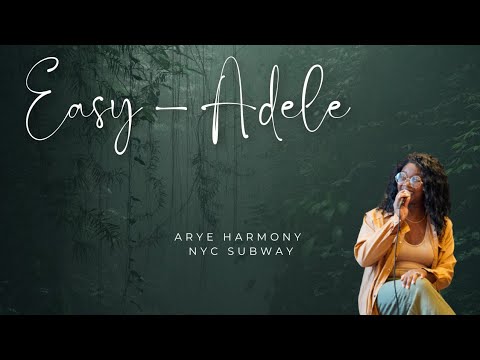 Easy On Me- Adele| NYC Subway singer Arye Harmony - YouTube