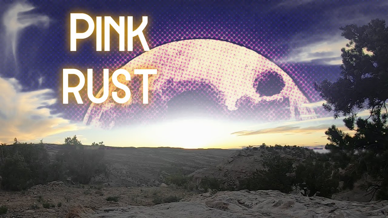 Pink Rust - second year sessions 10 - YouTube