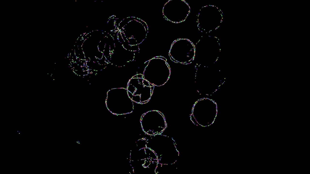 Cluster formation in flocking system - YouTube