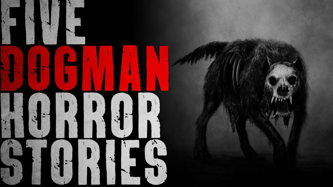 5 REAL Dogman Encounters - YouTube