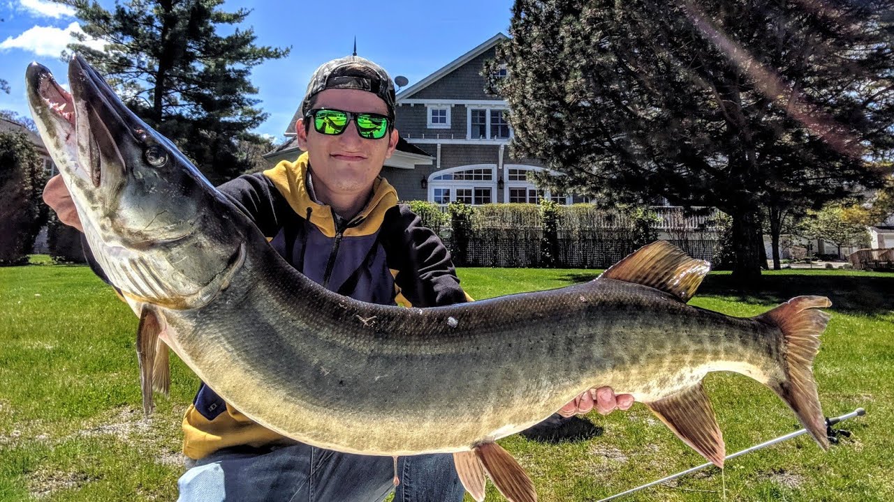 Fishing for GIANT Musky in ULTRA CLEAR water - YouTube