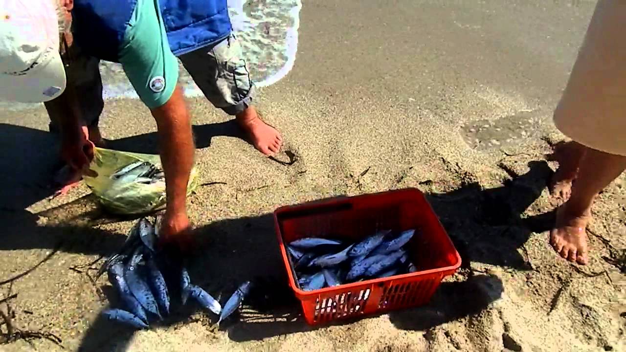 ΨΑΡΕΜΑ (ΜΕΤΑ ΤΟ ΨΑΡΕΜΑ ΜΟΙΡΑΣΜΑ ΣΤΗΝ ΠΑΡΑΛΙΑ ) - YouTube