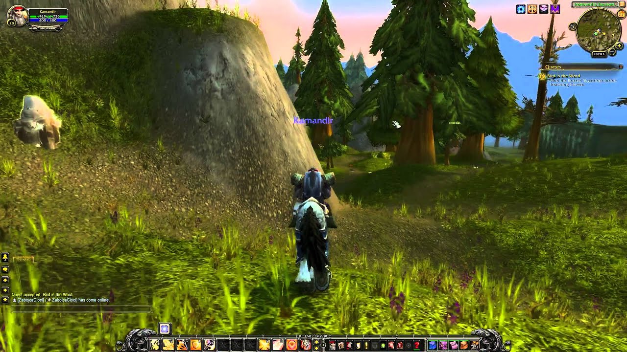 WoW quest #940 Bird is the Word - YouTube