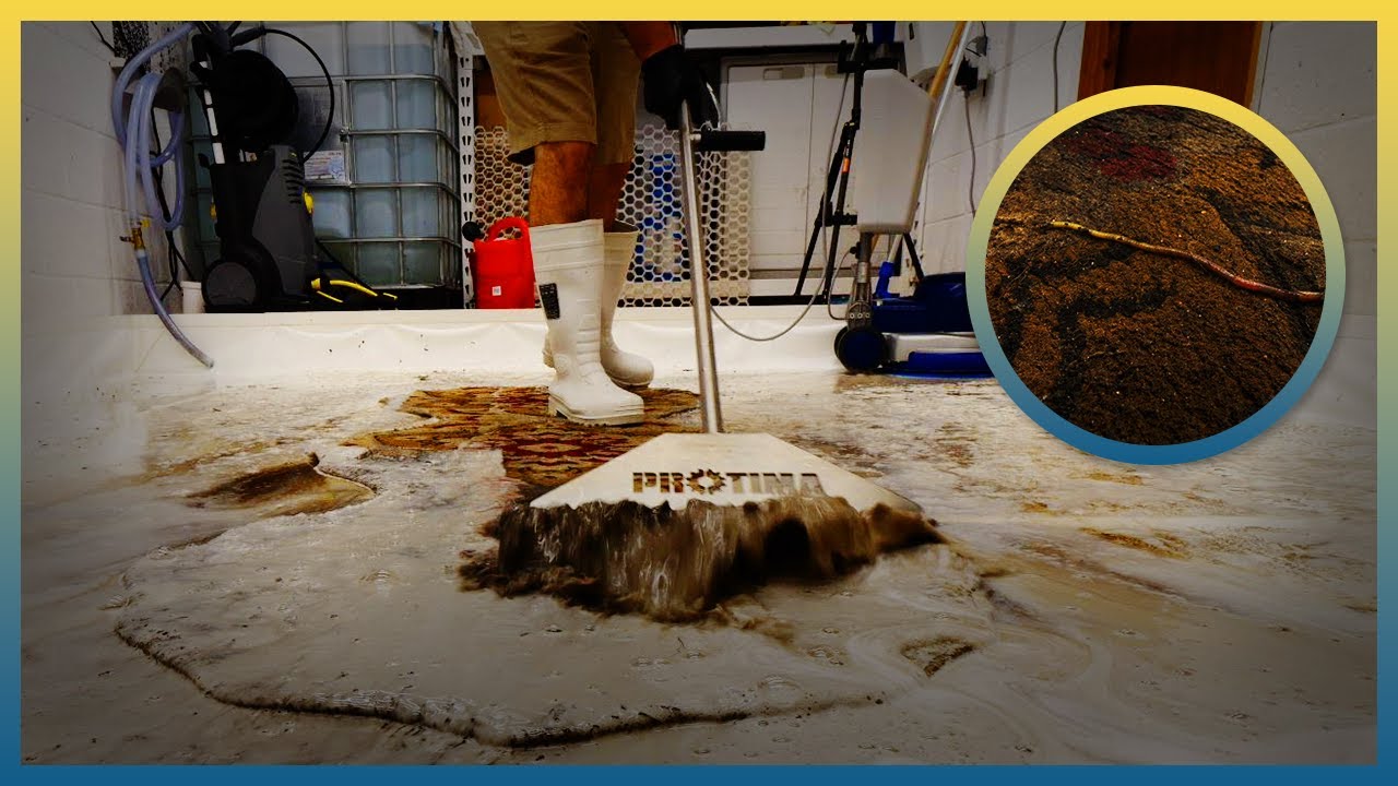 Stained, Burnt And Covered In Worms ! Carpet Cleaning Satisfying ASMR ...