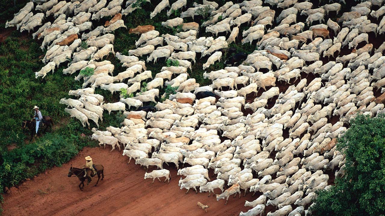 Nebraska Farmers Use 45,3 Million Acres Of Farmland And 44,800 Farms ...