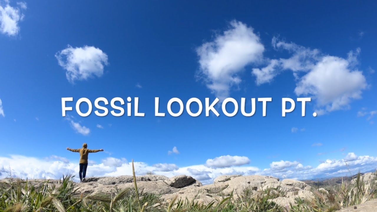 Hike to Fossil Lookout Point in Simi Hills (Upper Las Virgenes Canyon ...