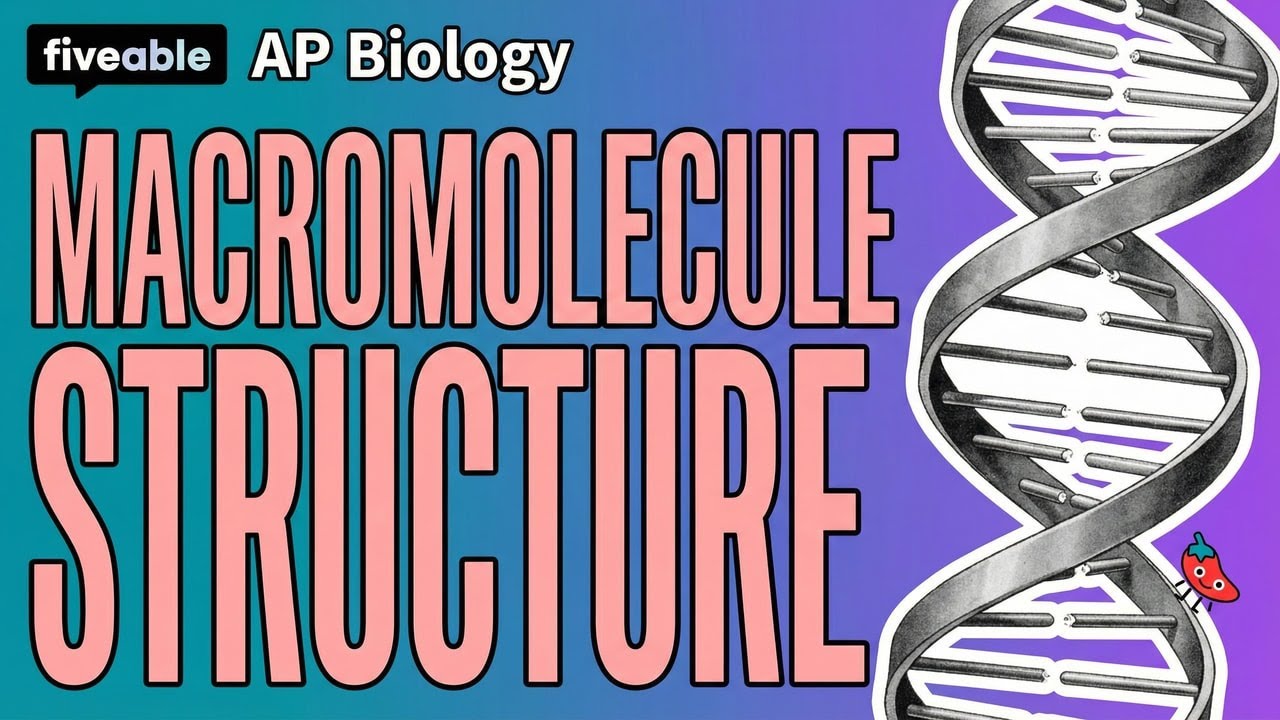 AP Biology - Structure & Function of Macromolecules - YouTube