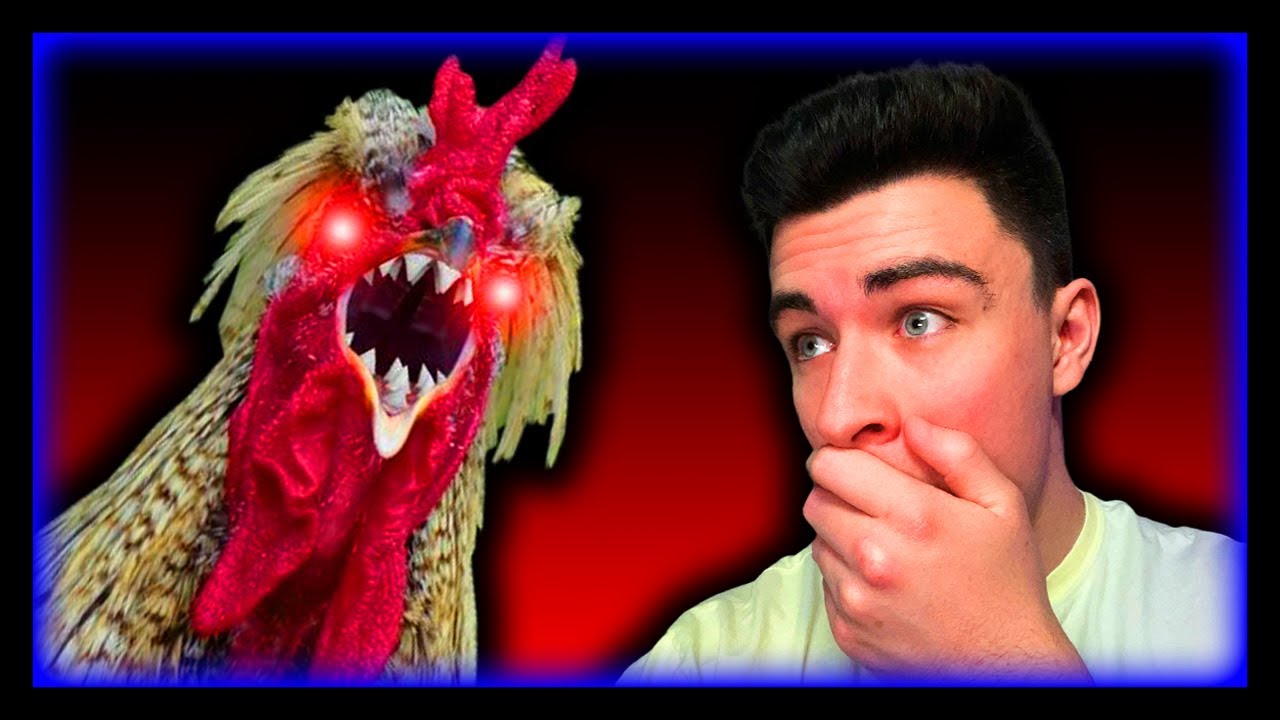 OH CLUCK! A SCARY CHICKEN! RUN! - YouTube
