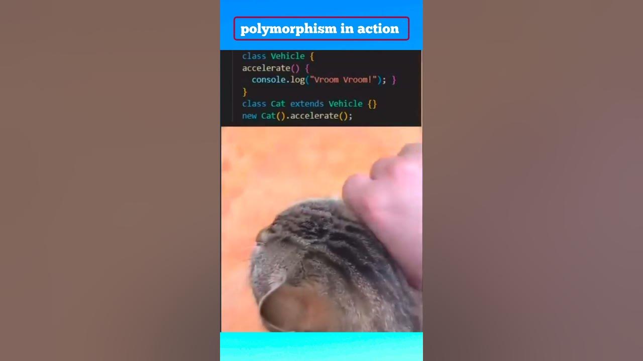 Polymorphism😂😂 #Education #Coding #TechTips #LifeHacks #Shorts #Trending #Motivation #Success ...